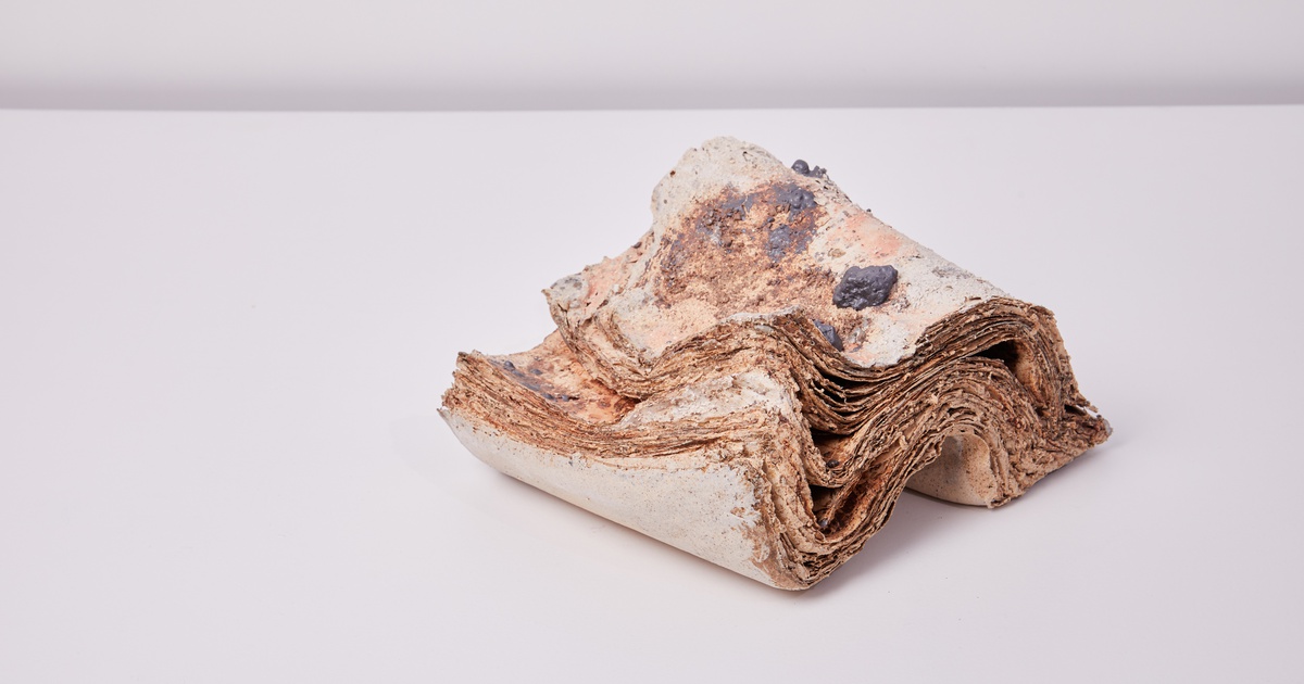 Amino Soup | 12 October - 30 December 2023 - Press | TARQ